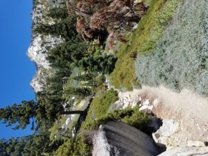 Idyllwild trail information | PALMS TO PINES TRAVEL
